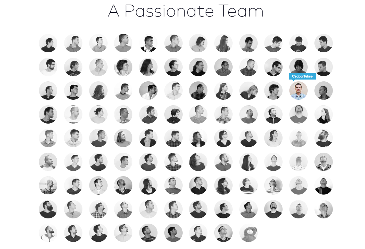 The Best Team Pages on Websites: Best Examples