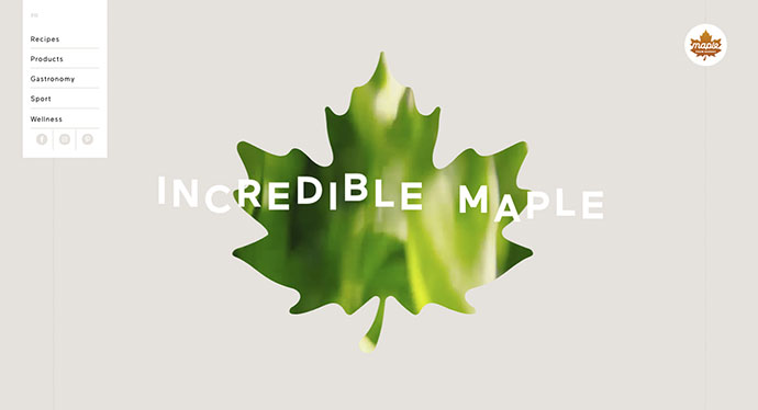 Best Website Transition Examples