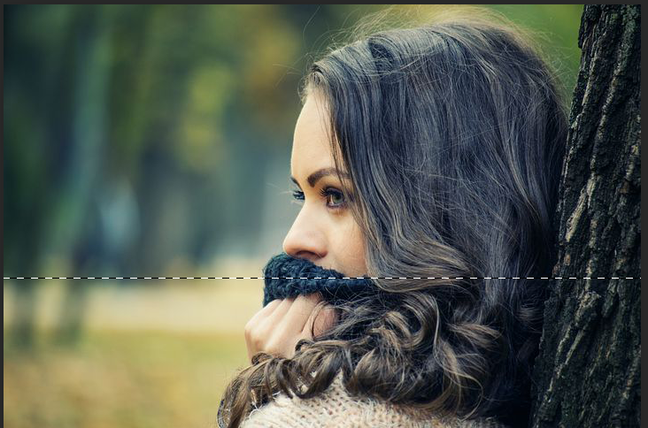 Tools of Photoshop: Marquee Tools