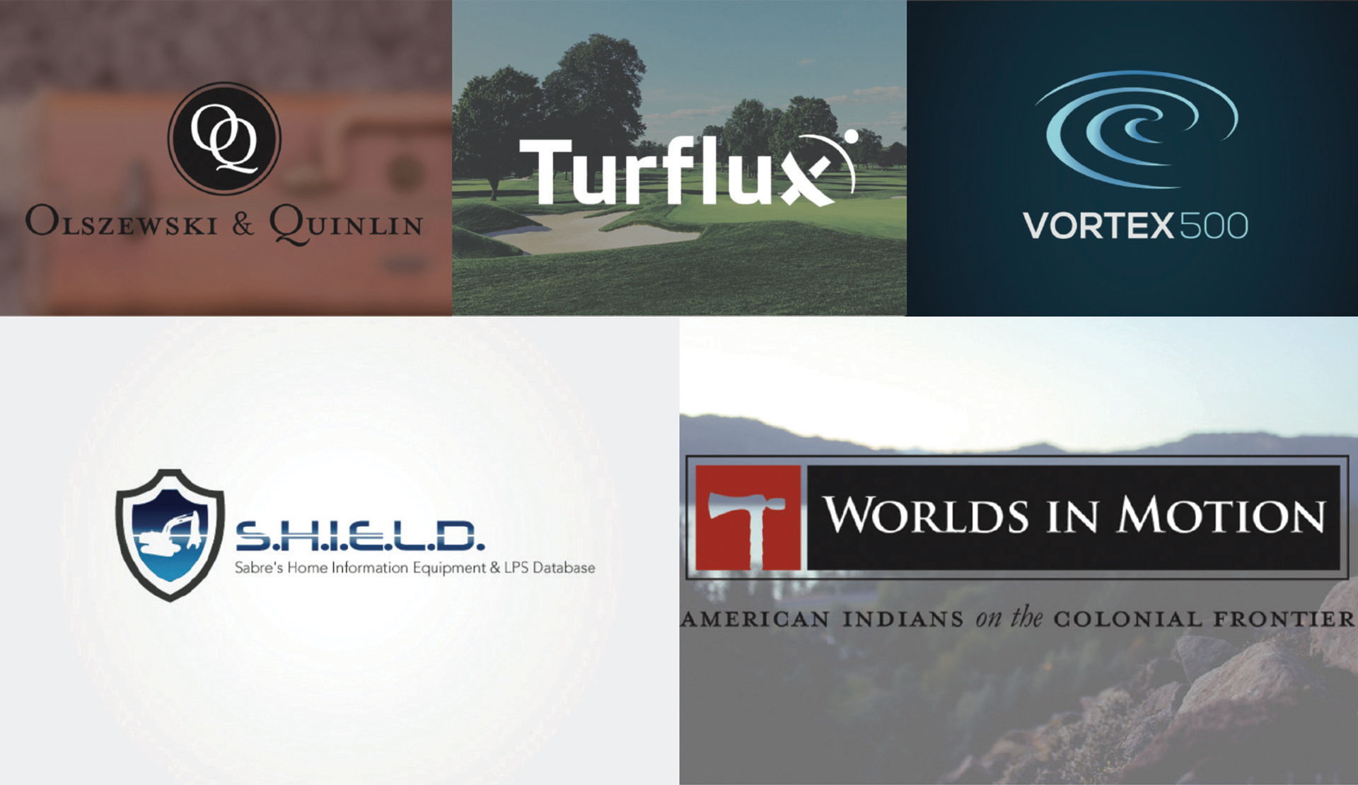 Logo Design & Brand Identity Development - Blue Archer