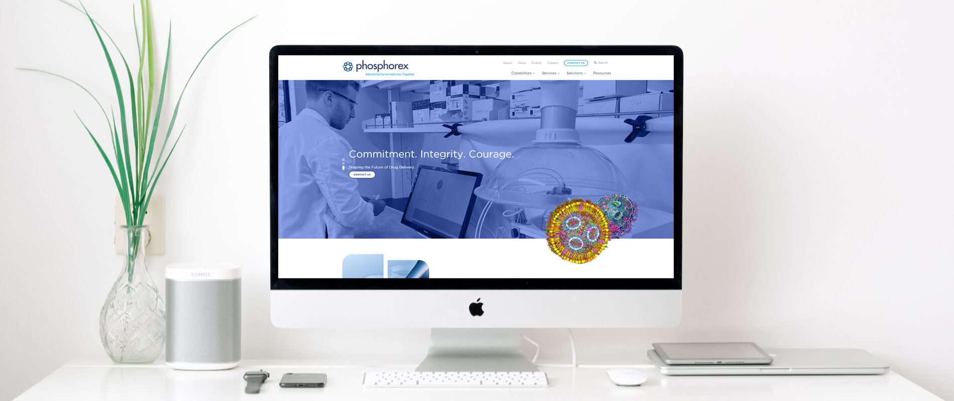 Phosphorex Website Design Case Study