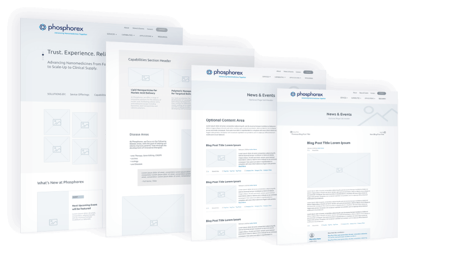 Phosphorex Website Design Case Study