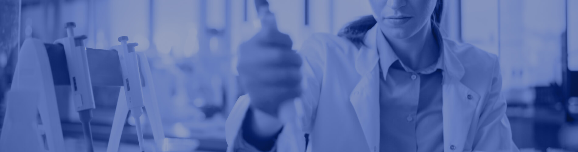 Phosphorex Website Design Case Study