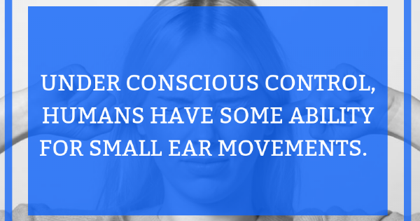 New Research Method: Eartracking